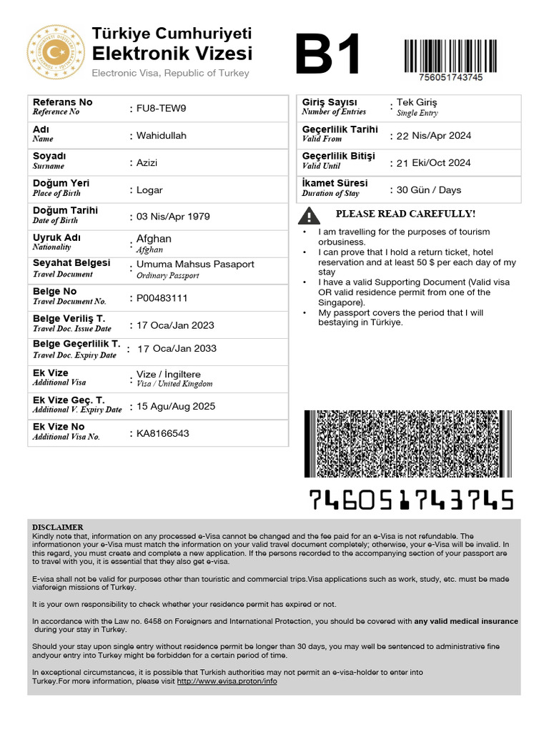 Turkish e-Visa Guidelines | PDF | Travel Visa | Passport
