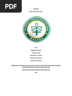 Pakaian Adat Ewer Papua Barat | PDF