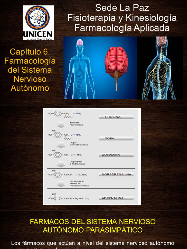 Farmacologia SNA | PDF