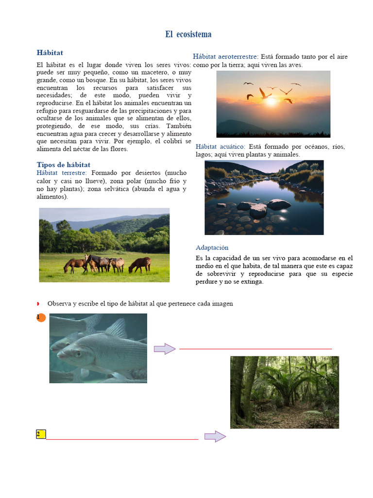 El Ecosistema 2° | PDF | Habitat | Desierto