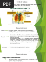 Conducto Torácico: Anatomía y Función | PDF | Tórax | Sistema linfático