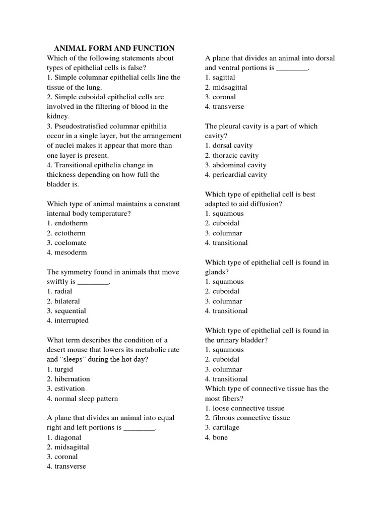 ANIMAL FORM AND FUNCTION | PDF | Epithelium | Neuron ANIMAL FORM AND FUNCTION | PDF | Epithelium | Neuron