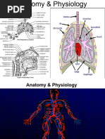 Anatomy and Physiology-Lecture Notes | PDF | Bone | Anatomical Terms Of ...