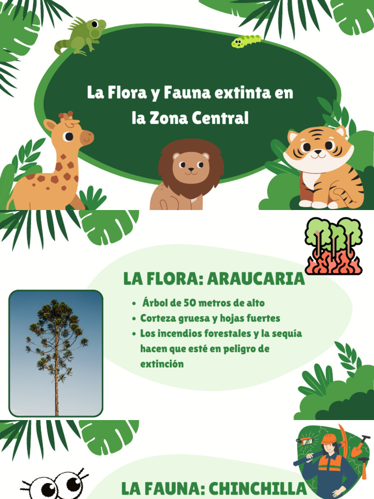 La Flora y Fauna de La Zona Central | PDF