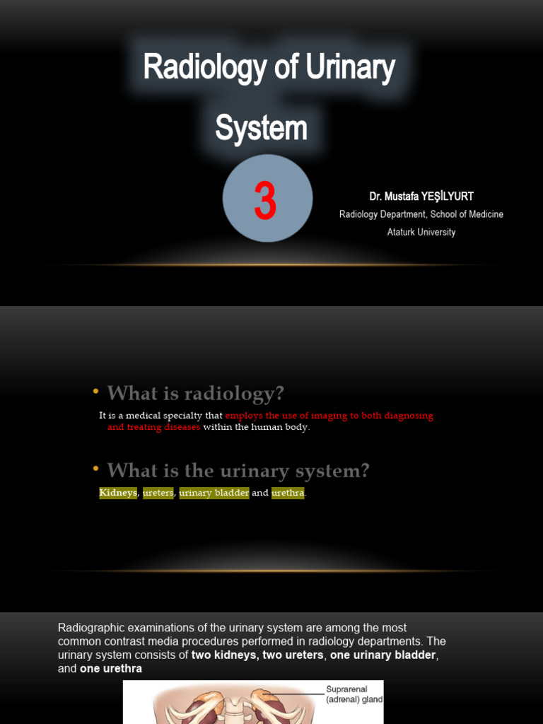 Radiology of the Urinary System | PDF | Kidney | Medical Imaging