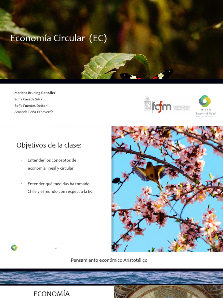 Sesi n04 Econom A Circular | PDF | Economía y medio ambiente | Naturaleza