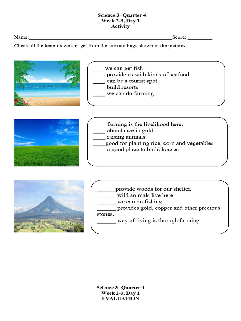 Science Activities for Grade 3 Students | PDF | Agriculture | Food Industry