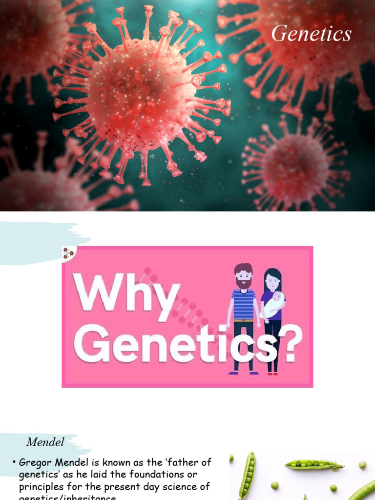 Genetics Part 1 | PDF | Dominance (Genetics) | Zygosity