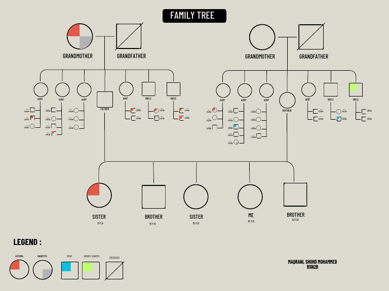 Family Tree | Download Free PDF | Kinship And Descent | Family