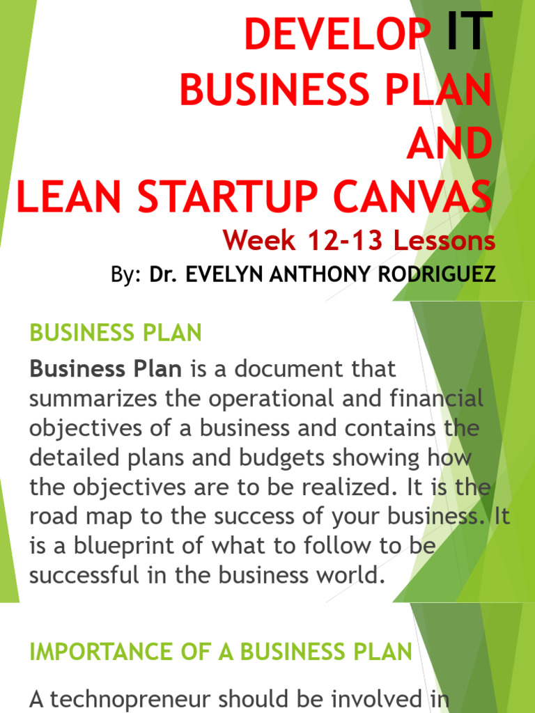 Business Plan & Lean Startup Guide | PDF | Business Plan | Lean Startup