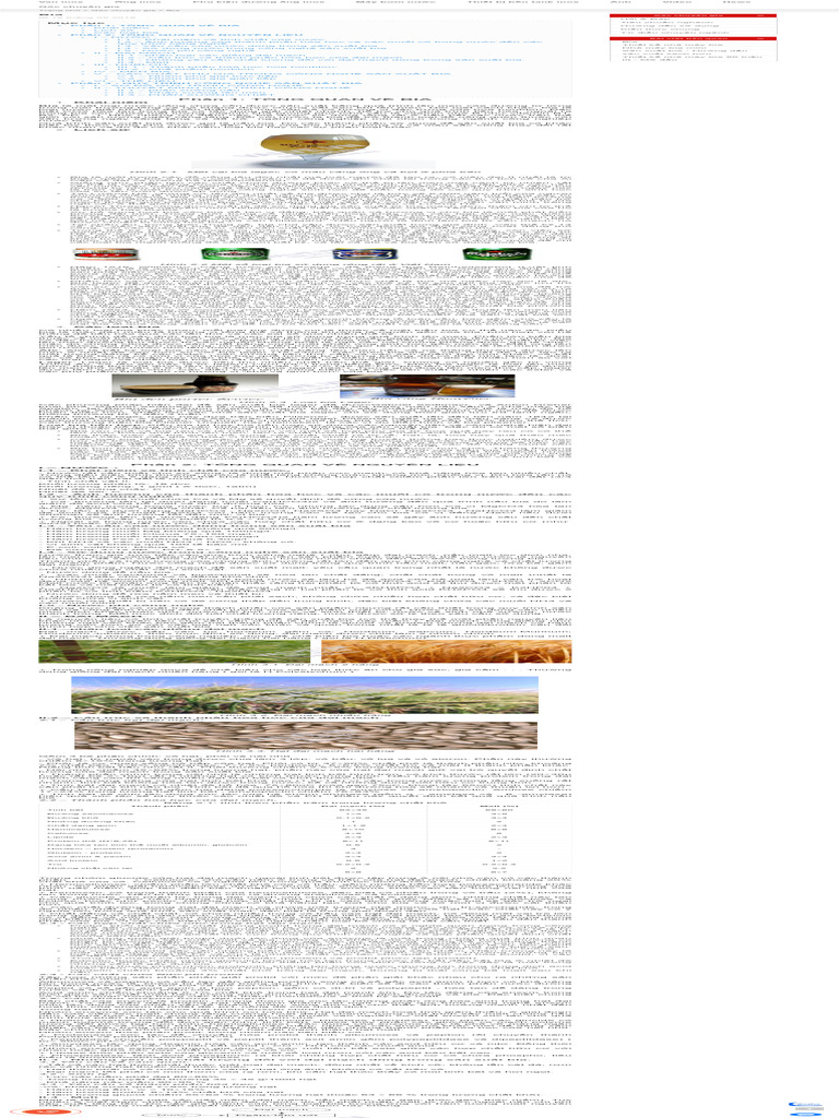 Tổng Quan Về Bia - Nguyên Liệu - Quy Trình Công Nghệ Sản Xuất Bia 2 | PDF