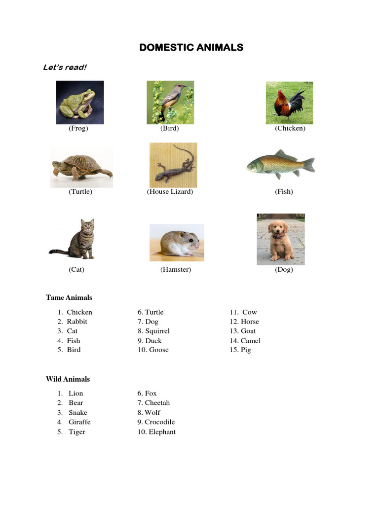 Domestic Animals - 1 - Grade 3 | PDF