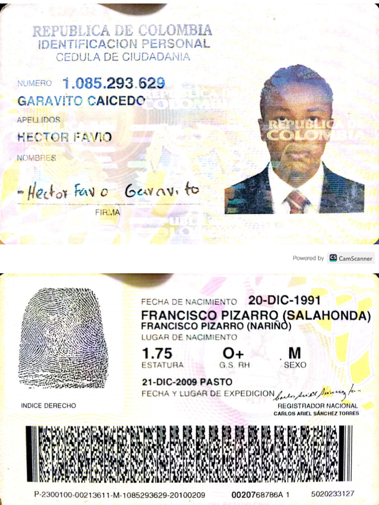 Cédula Héctor | PDF