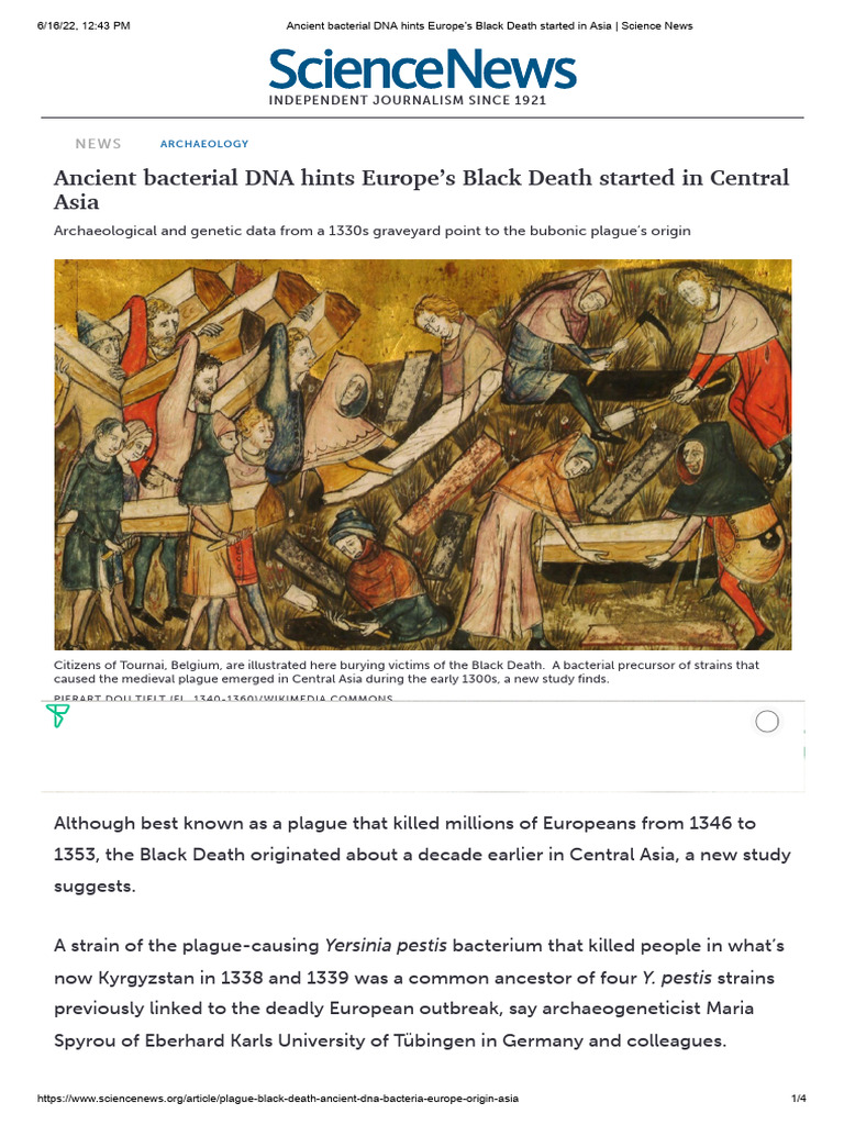 Ancient Bacterial DNA Hints Europe's Black Death Started in Asia ...