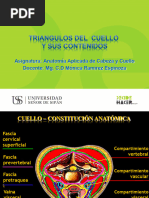 Netter Atlas de Anatomia Humana 7ma Edición | PDF | Corazón | Pelvis