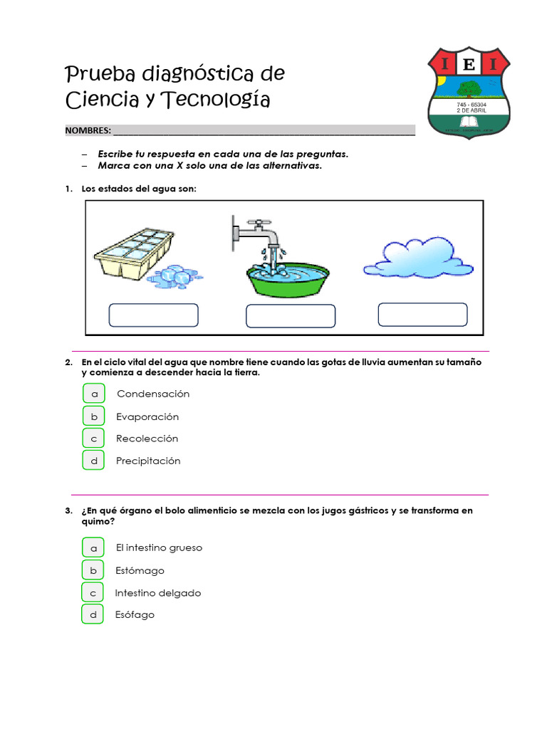 Prueba Diagnóstica de Ciencia y Tecnología | PDF | Ciencia y matemáticas