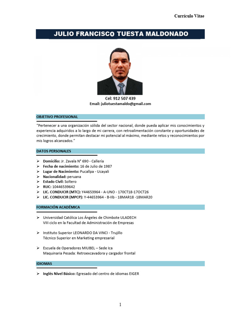 Cv 2023 _ Julio Tuesta | PDF | Economias | Business