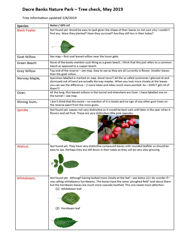 Dacre Banks Nature Park - Trees Follow Up ID | PDF | Home & Garden