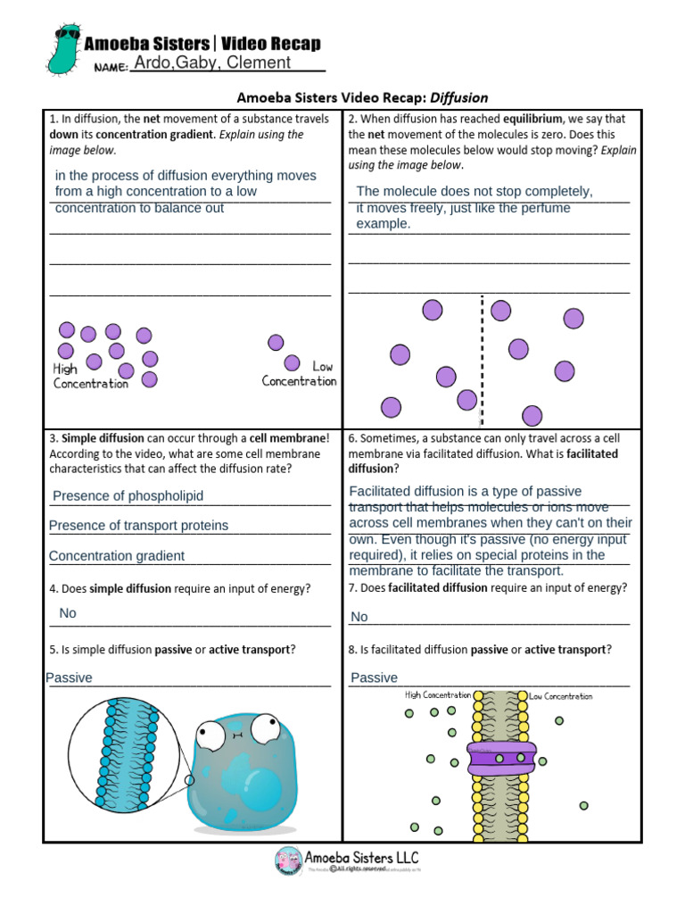 Diedit - Class Today 4 - 3 | PDF | Diffusion | Blood