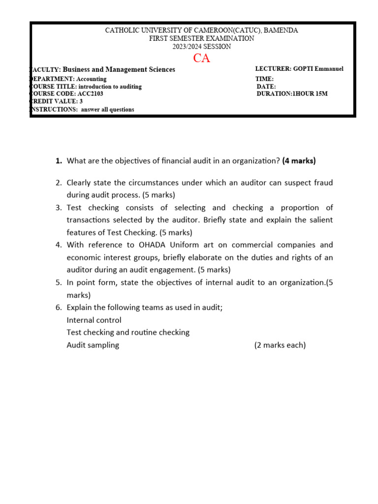 Auditing Ca | PDF | Finance & Money Management
