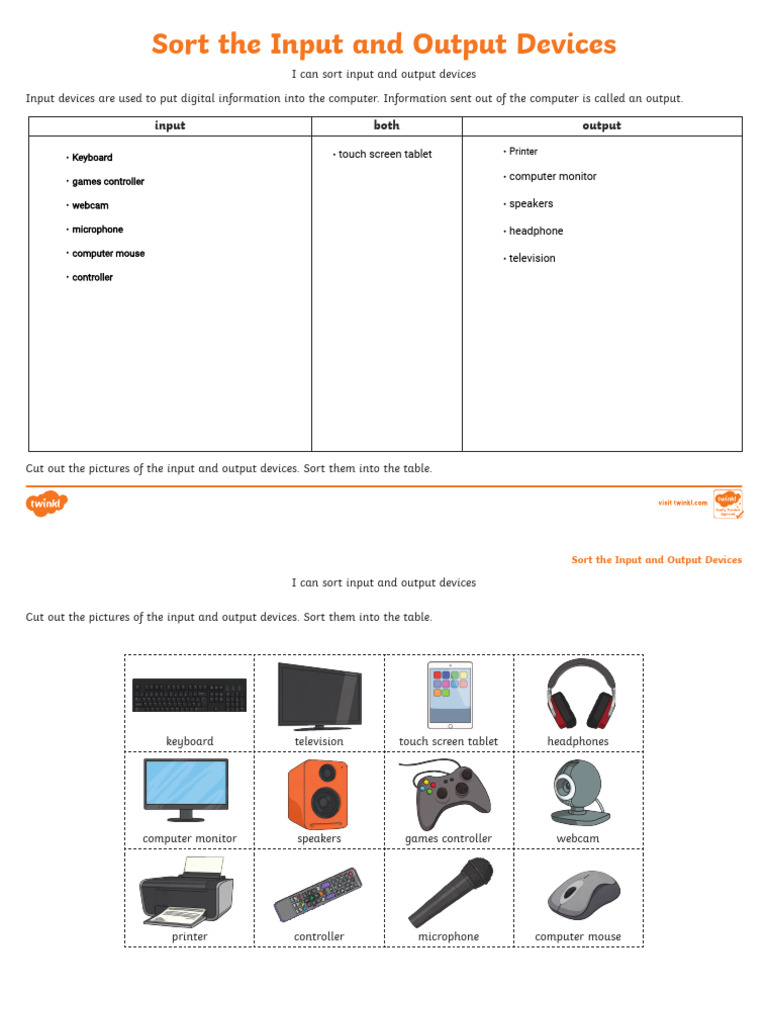 Kami Export Kamolchanok Bowa Ongtuwanon t2 I 105 Sort The Input and Output Devices Activity ...