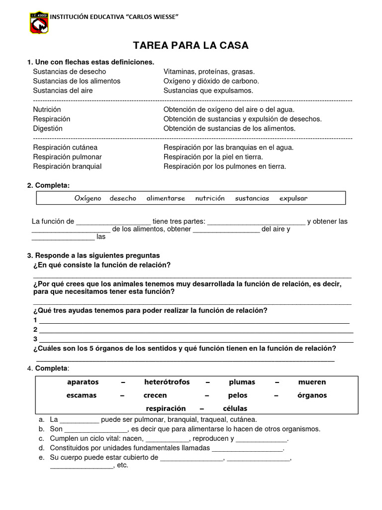 Tarea para La Casa | Descargar gratis PDF | Respiración | Nutrición