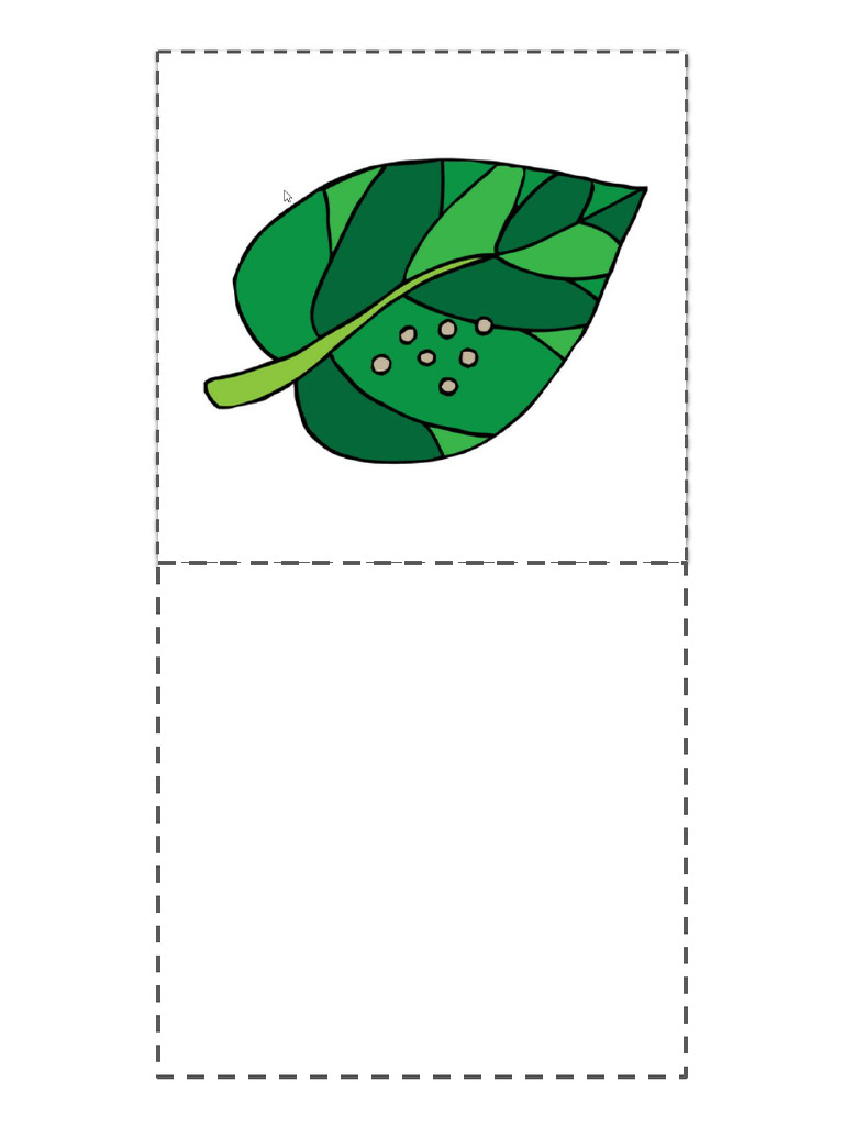 Problem Card | PDF