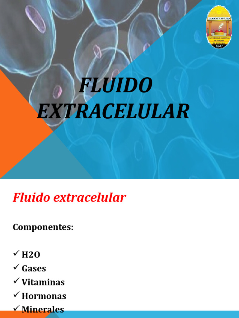 Composición y Funciones del Fluido Extracelular | PDF | Calcio | Vitamina