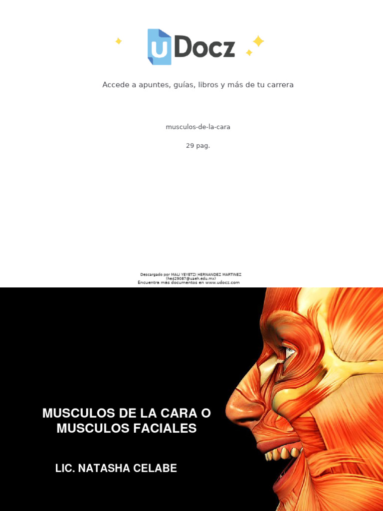 Musculos de La Cara 438647 Downloable 2463518 | PDF | Sistema ...