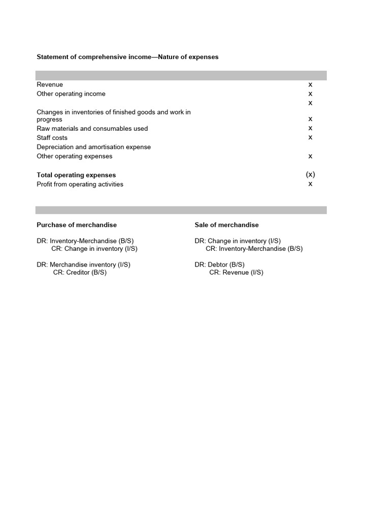 Comprehensive Income Statement Overview | PDF