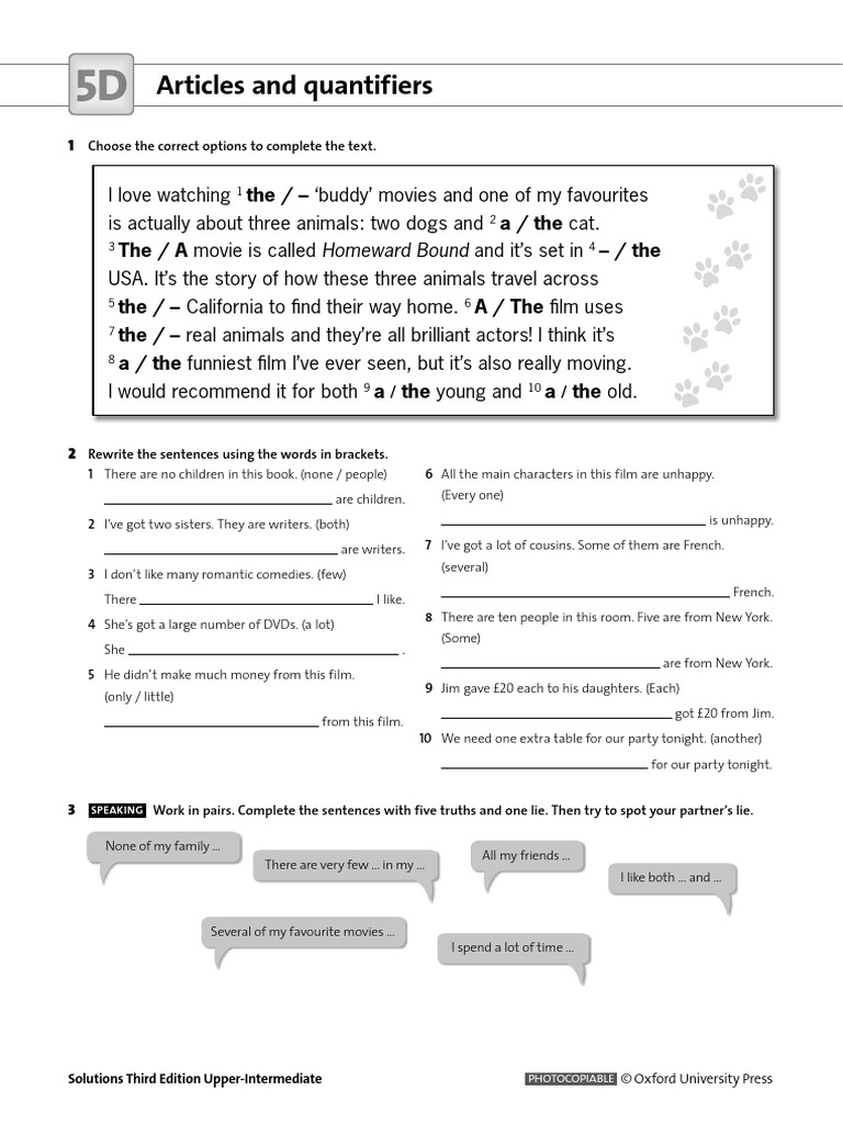Articles & Quantifiers Practice | PDF | Language Arts & Discipline