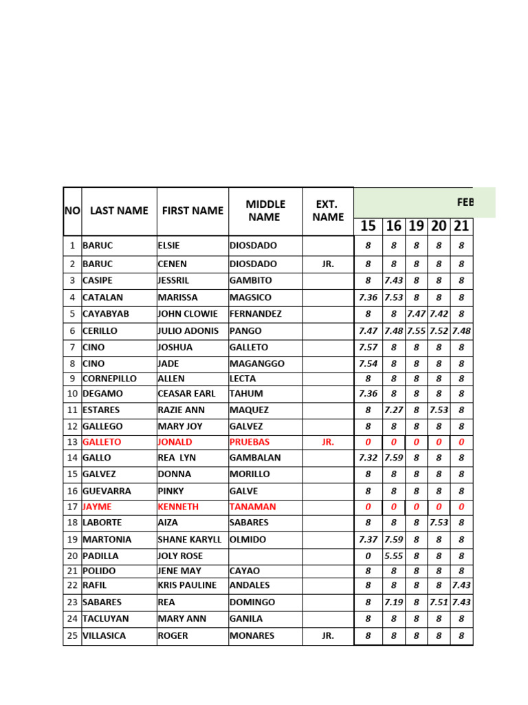 Summary of Attendance - Lyka | PDF