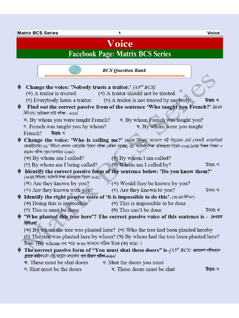 Voice | PDF