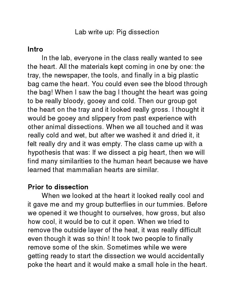 Pig Heart Dissection Lab Write Up | PDF | Heart Valve | Angiology
