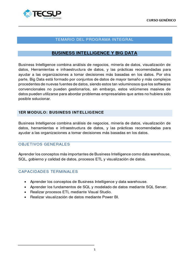 Temario - Business Intelligence & Big Data | PDF | Inteligencia de ...