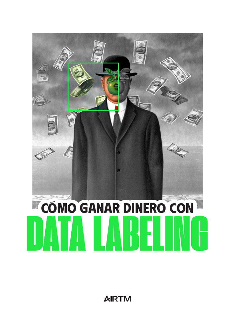 Guía para Ganar Dinero con Data Labeling | PDF | Inteligencia ...