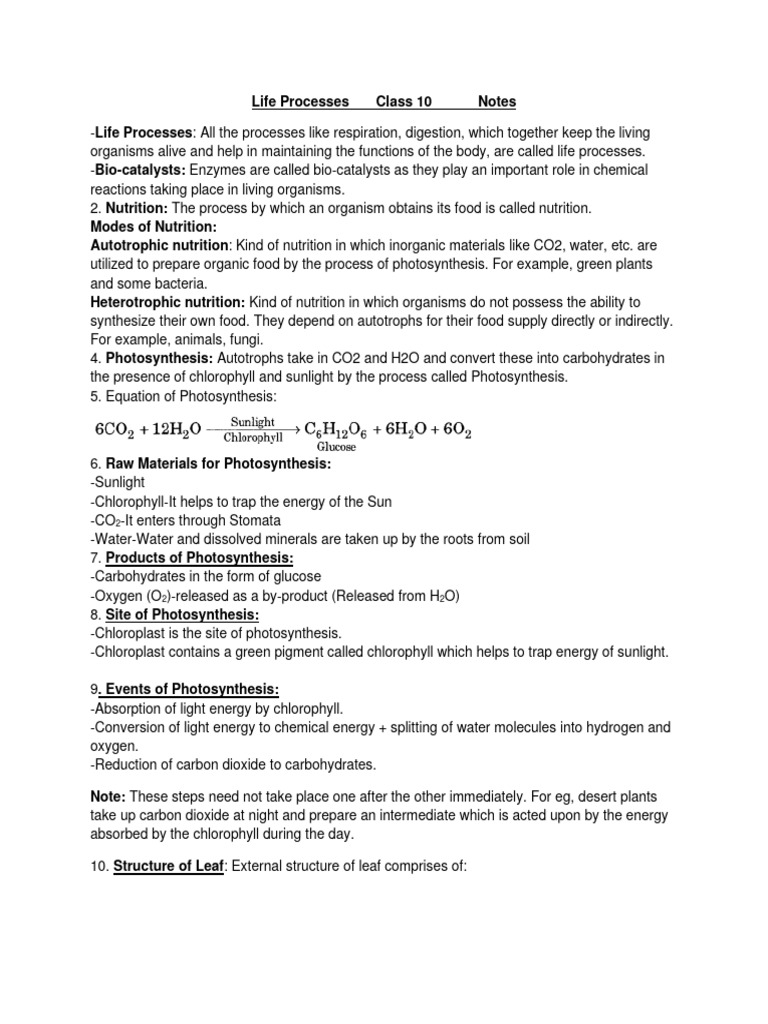 Nutrition Notes | Download Free PDF | Digestion | Leaf