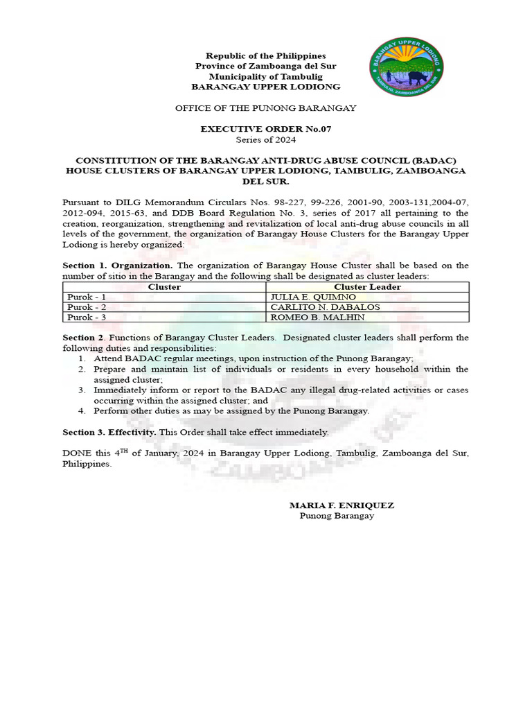 BADAC TEMPLATE - Executive Order - House Cluster Leader | PDF