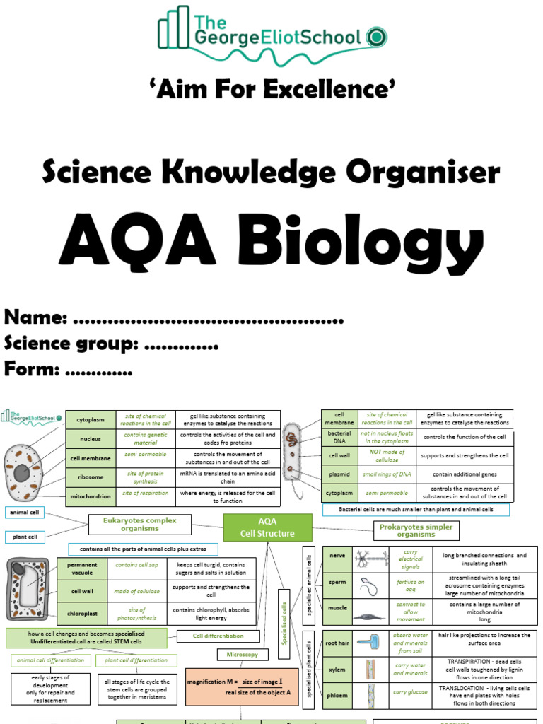 AQA Biology Knowledge Organiser | PDF | Cell (Biology) | Heart