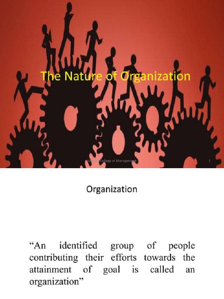 Lesson 1 - Intro.-to-Organization | PDF