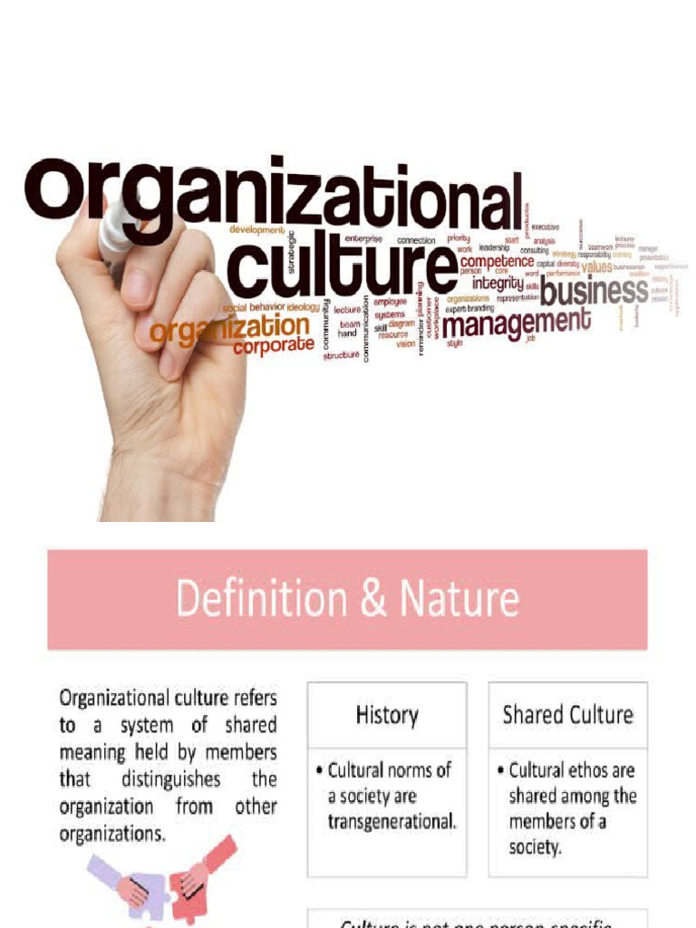 Lesson 5 - Organizational Culture | PDF