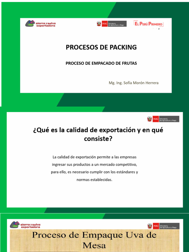 Proceso de Packing | PDF