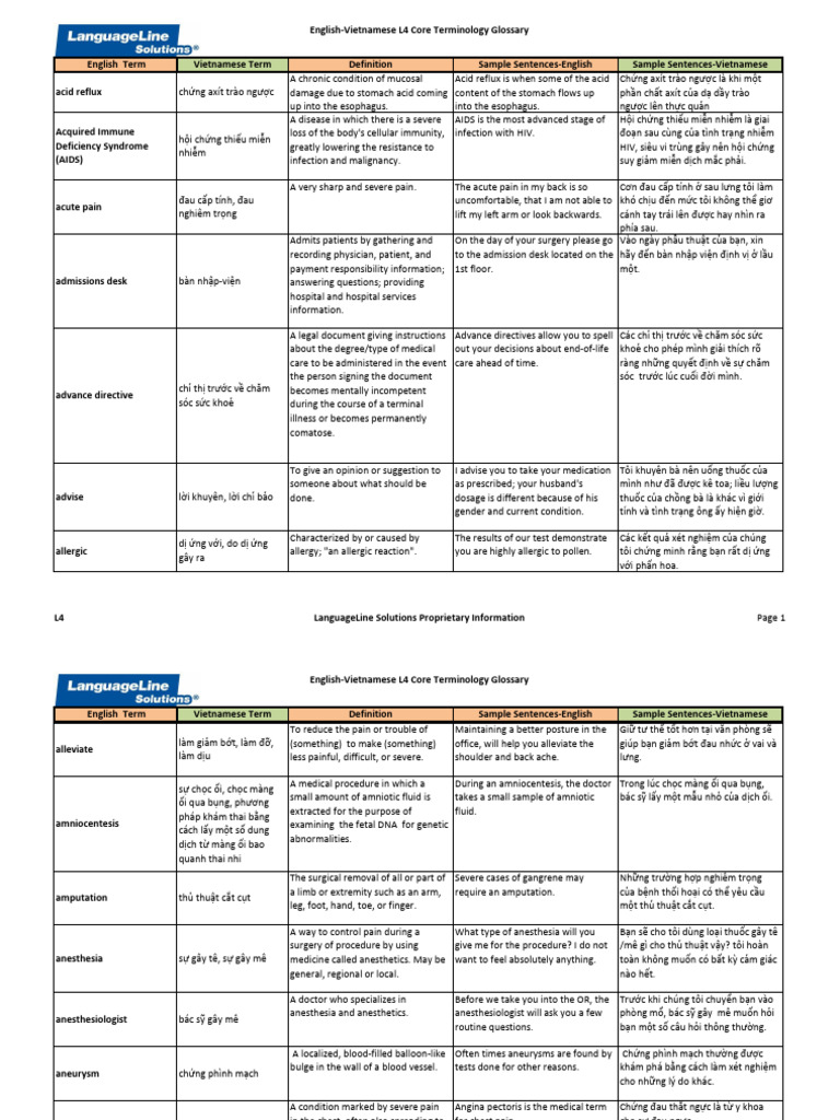 VIE L4 Core Terminology 2019 | PDF