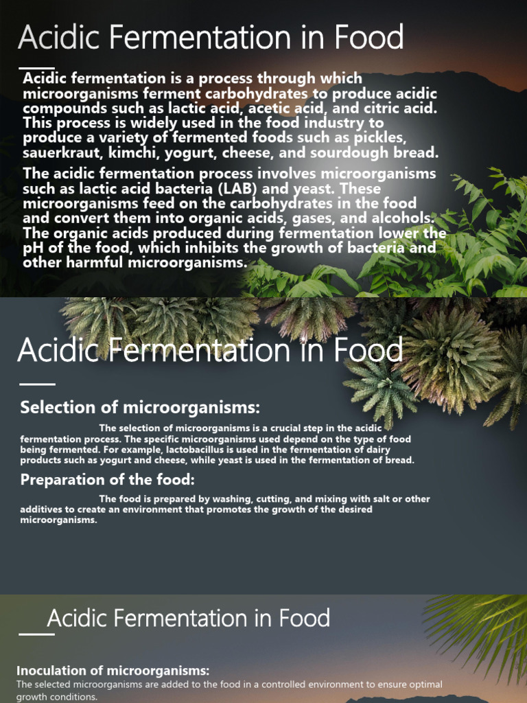 Understanding Acidic Fermentation in Food | PDF | Fermentation ...