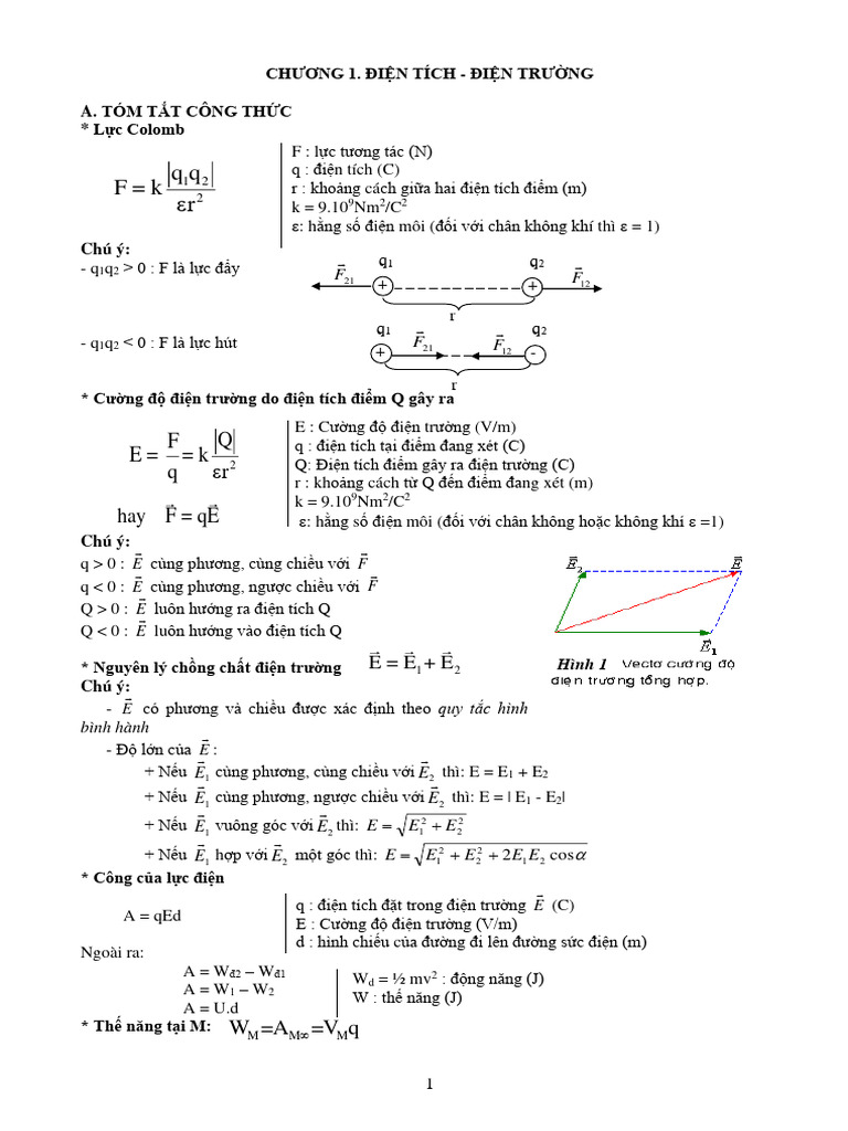 Ôn Tập Hki Vli 11a1 | PDF
