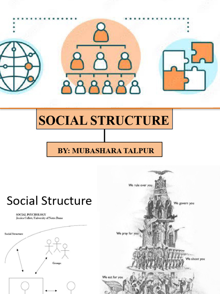 Social Structure | PDF | Social Structure | Society