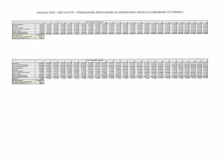 Analiza Cost-Eficacitate | PDF