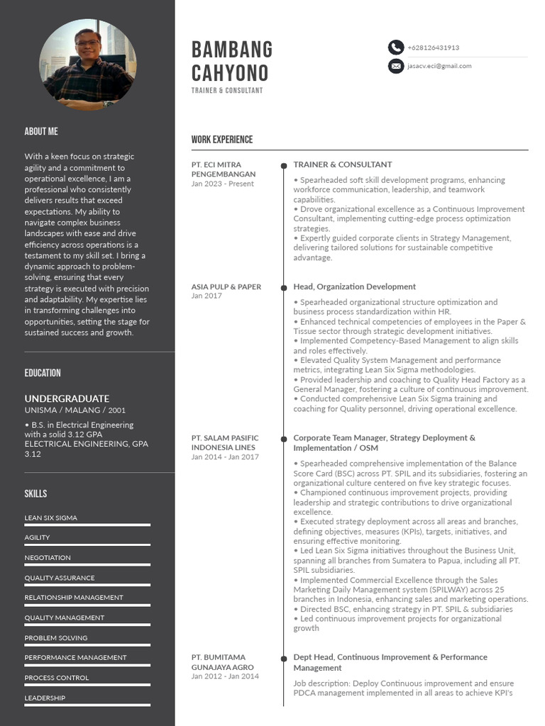 CV Example | PDF | Consultant | Six Sigma