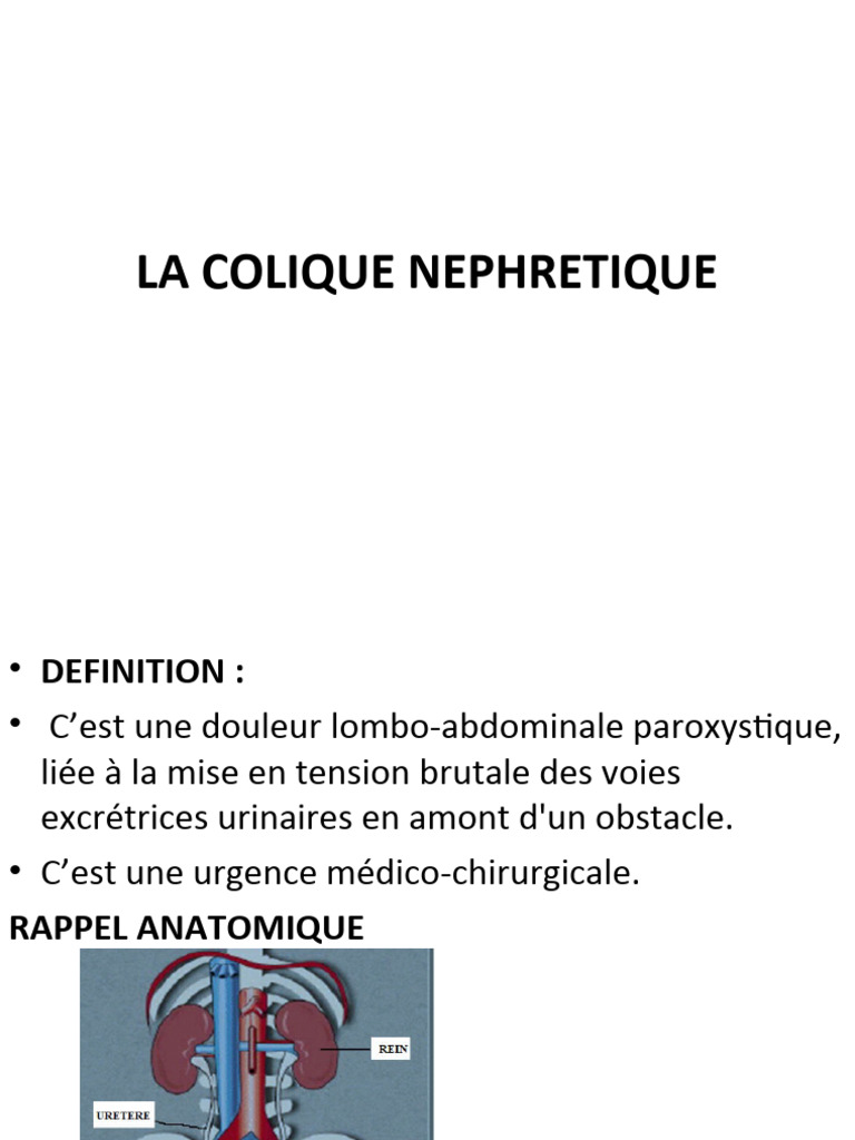 La Colique Nephretique 2021 | PDF | Médecine | Causes de décès