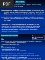 Fish Circulation: Gill and Systemic Flow | PDF | Heart | Artery